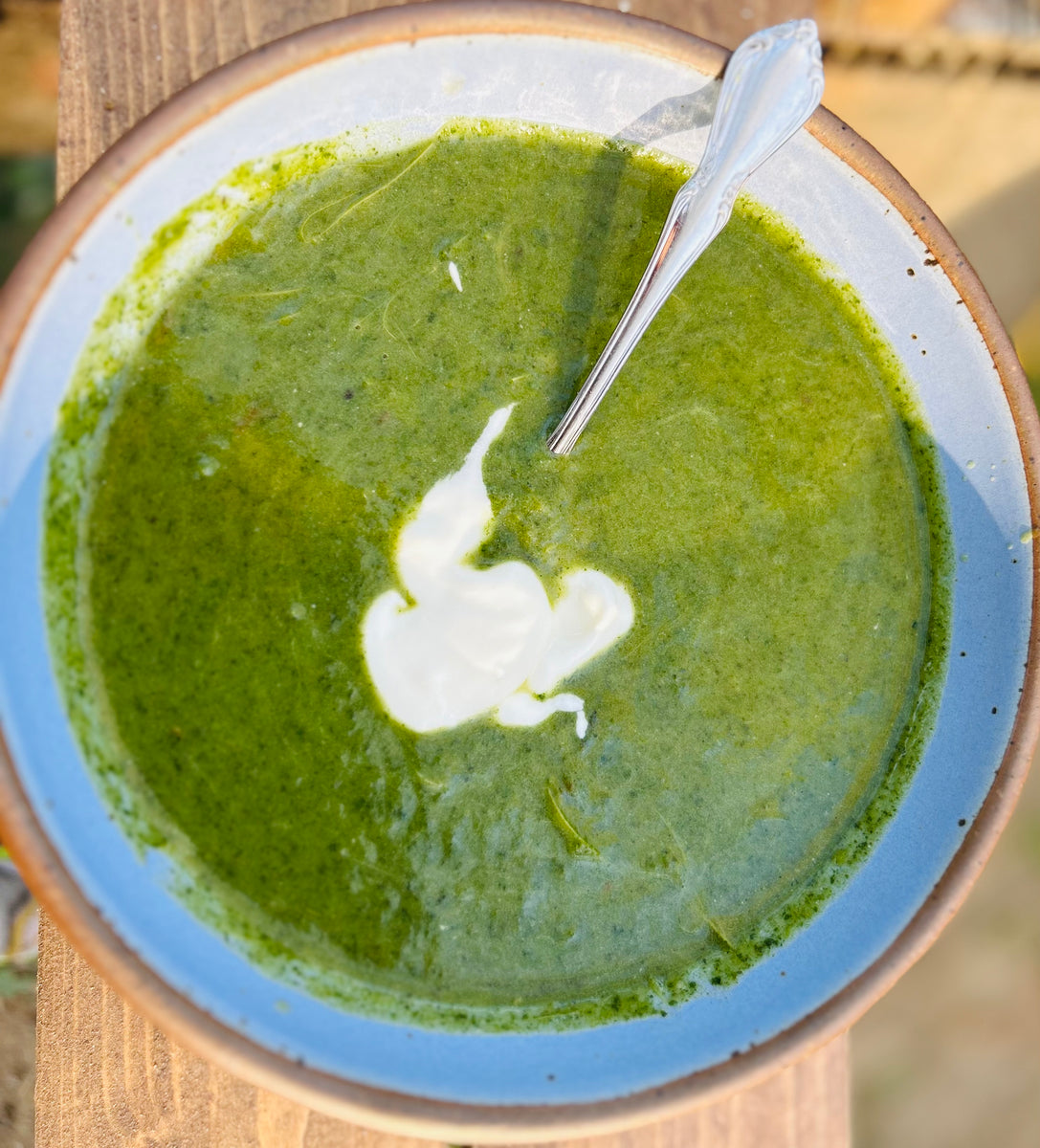 Nutritive Stinging Nettle Soup Recipe – Red Moon Herbs